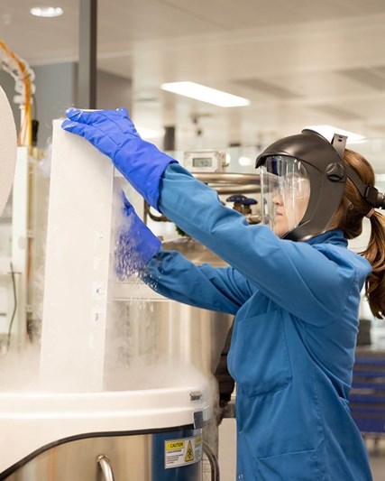 BOOSTRIX | GSK España