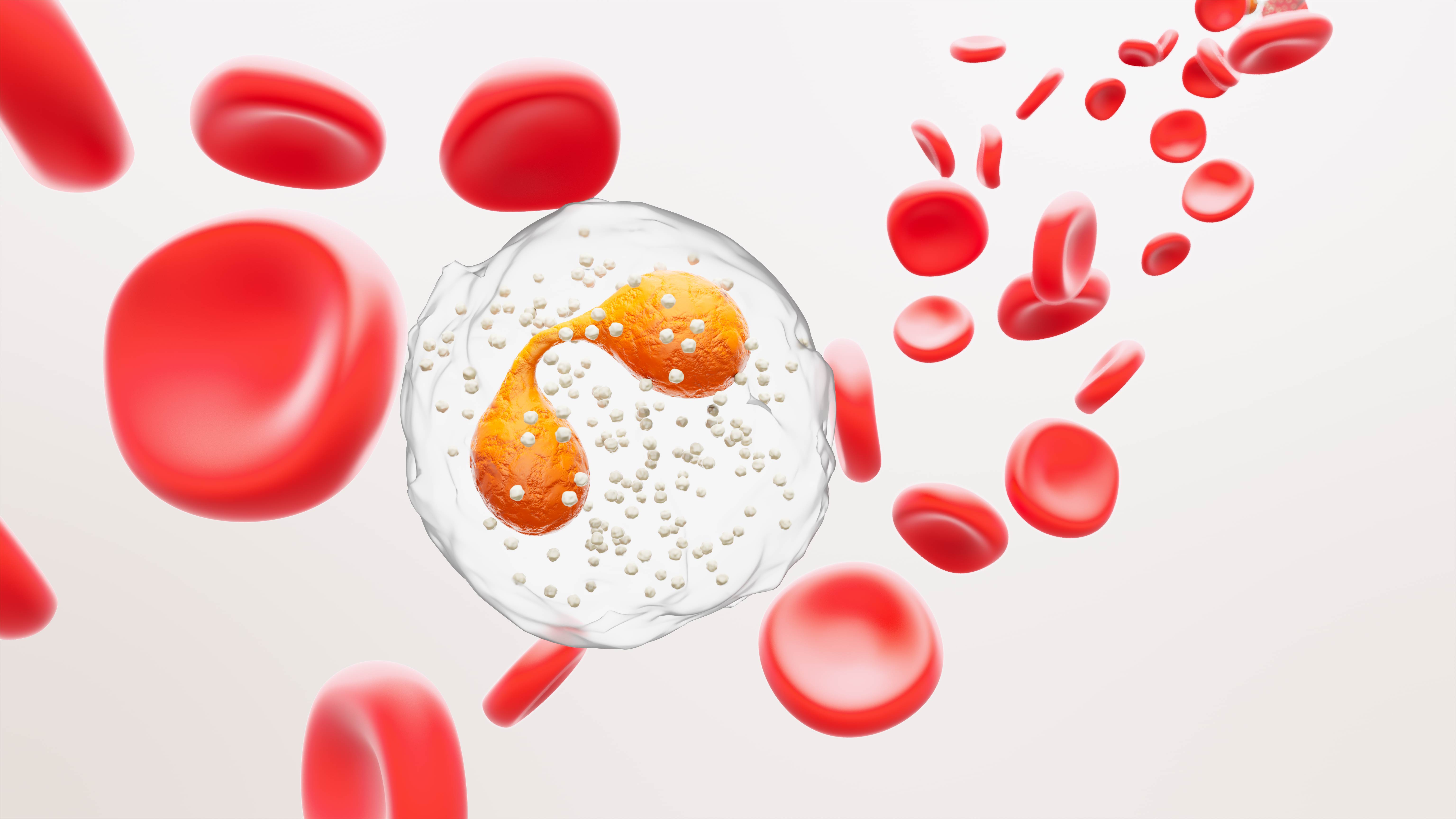 ¿Qué son los eosinófilos y qué papel juegan en nuestro organismo? | GSK ...